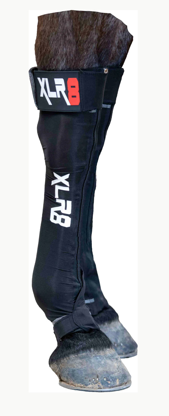 G-Force Leg Boot – XLR8 Equine Canada
